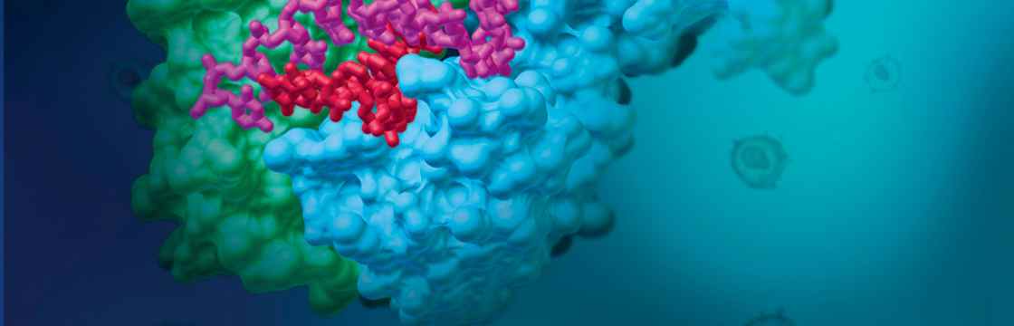 Molecular Marvels Selecting The Most Suitable Reverse Transcriptase 5025